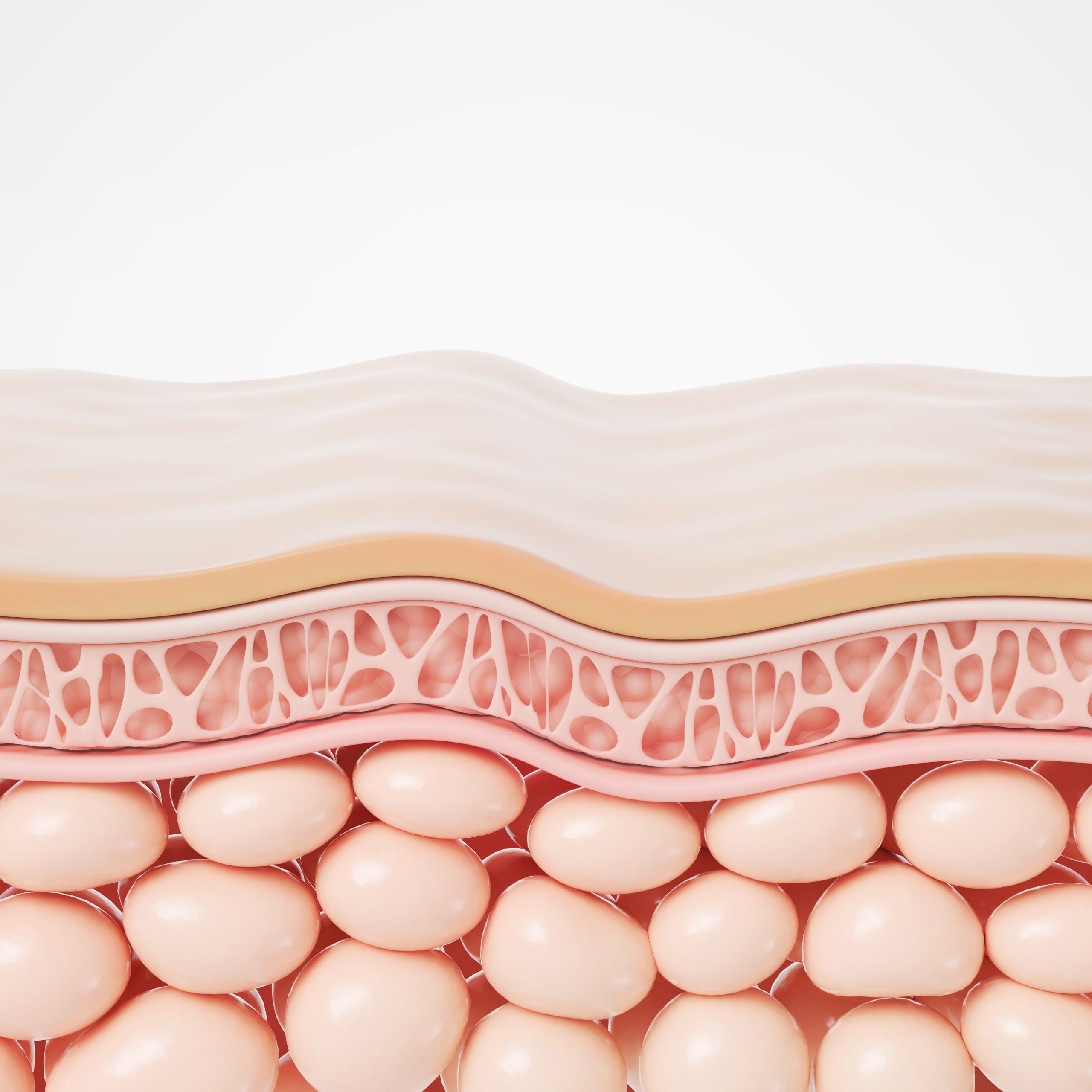 Skin Biome Initiative